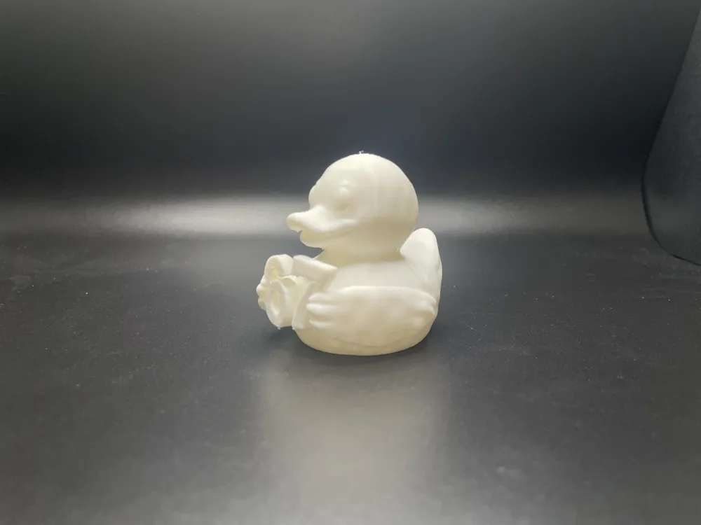 67 Duck - Free 3D Print Model - MakerWorld