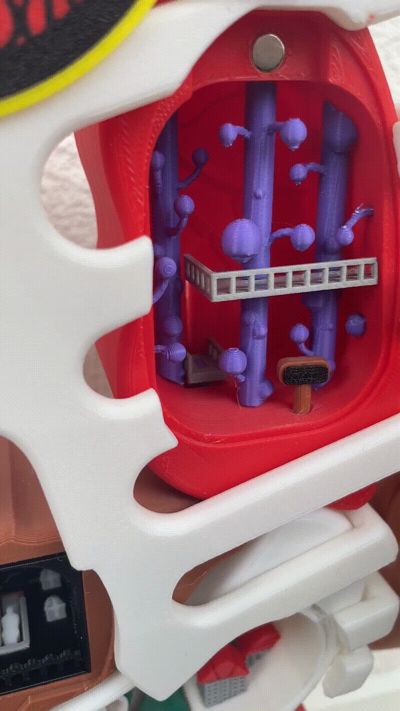 Anatomy Park - Fully functional by Dezist9 MakerWorld: Download Free 3D ...