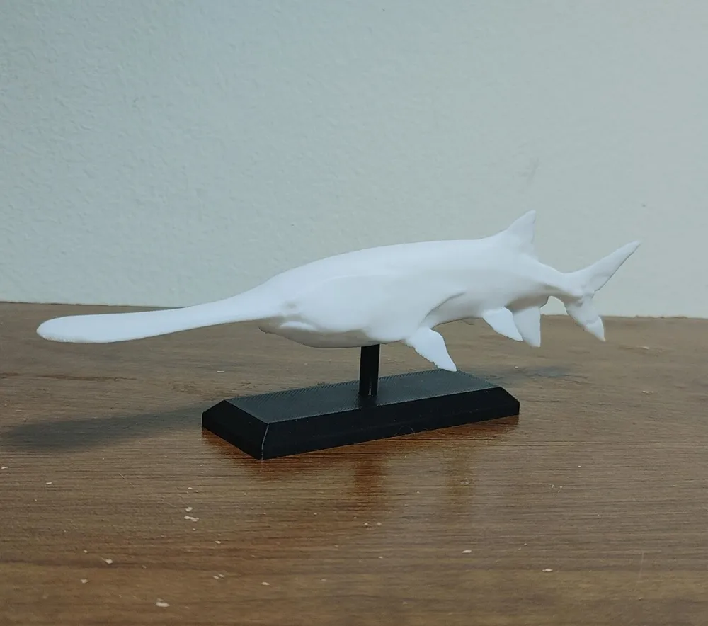 Paddlefish Mount by Fish Prints - MakerWorld