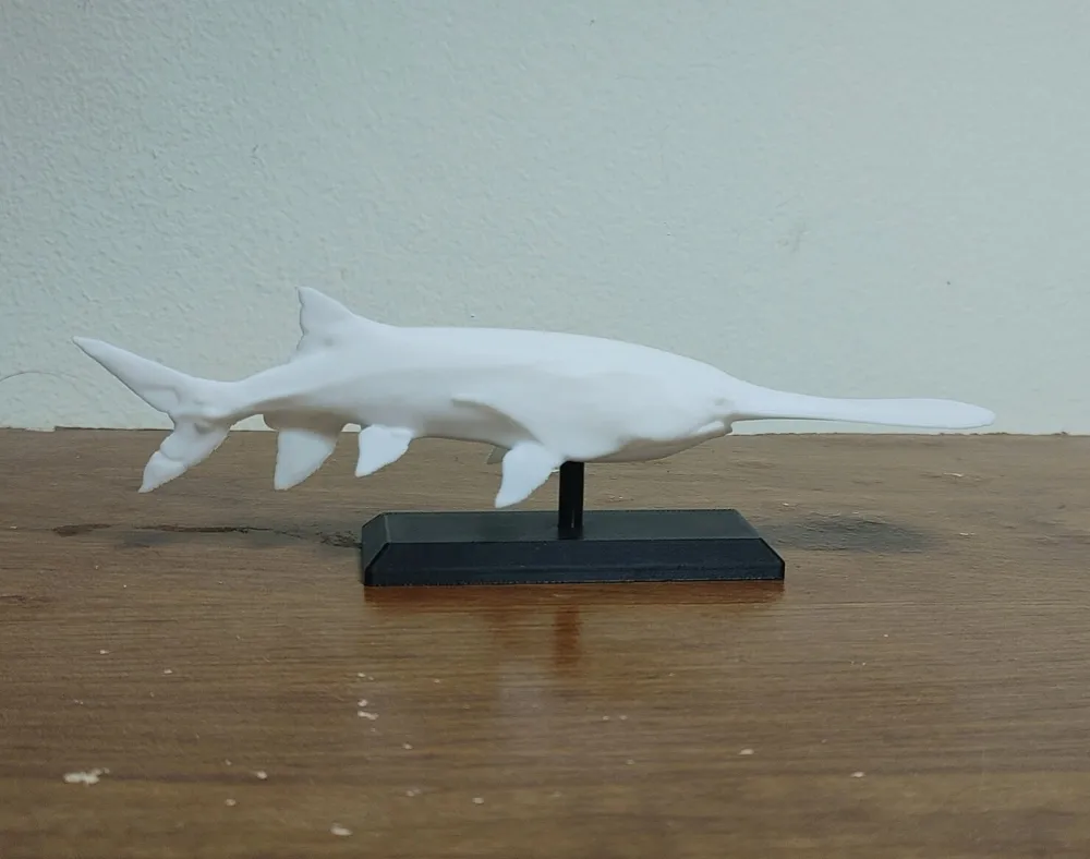 Paddlefish Mount by Fish Prints - MakerWorld