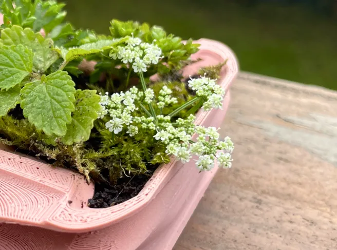 Wave Pot (Multiple Sizes) by untiedlaces - MakerWorld