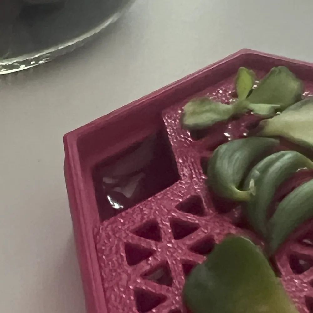Micro Succulent Propagation Tray by Bytes & Brushstrokes MakerWorld ...