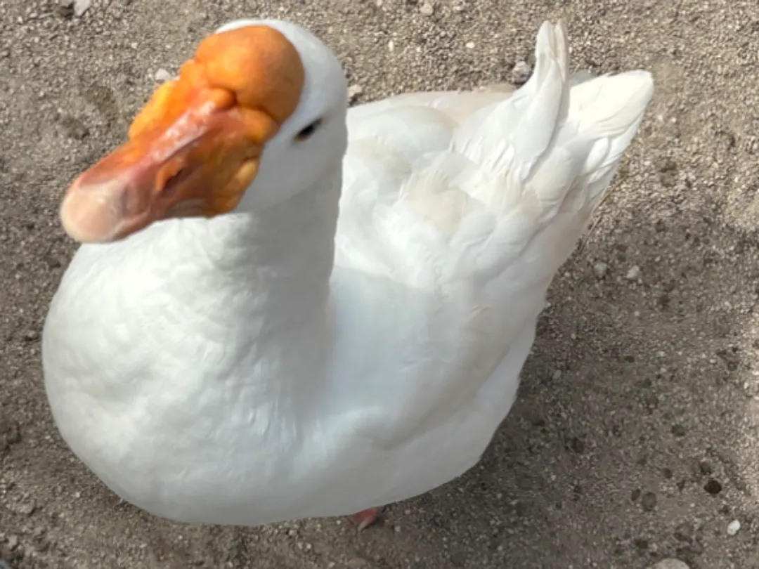 really cool scary guy - Free 3D Print Model - MakerWorld