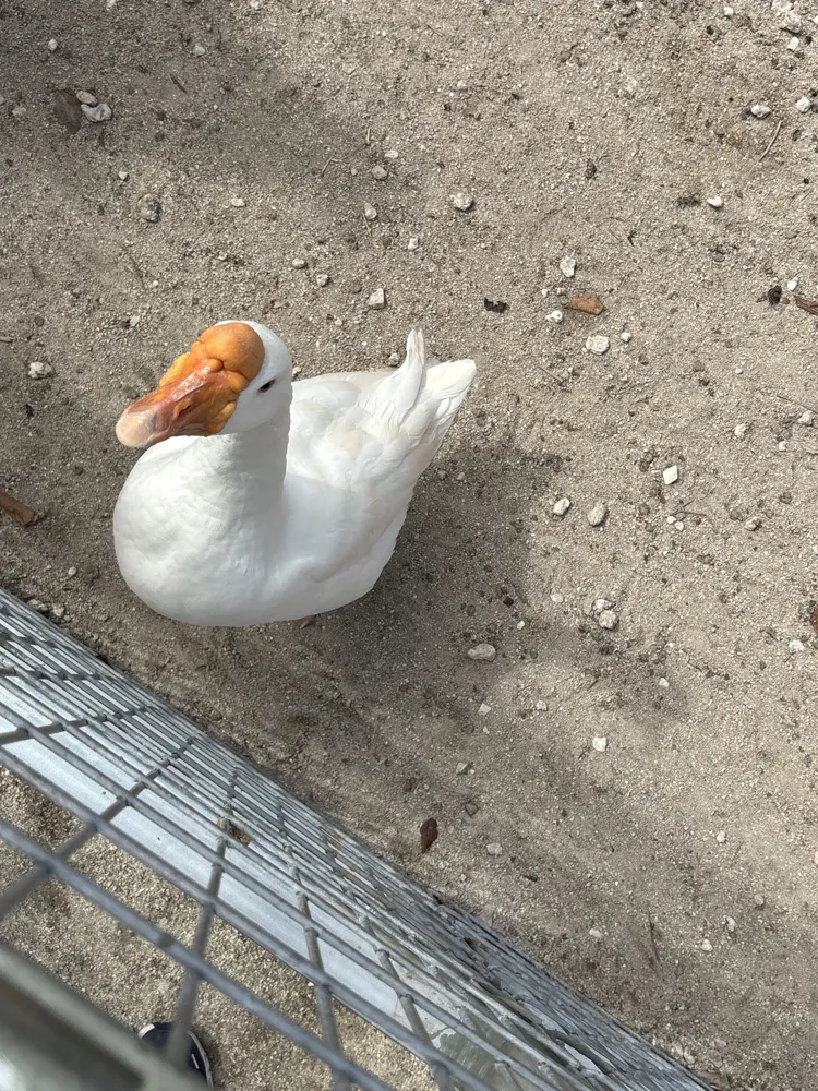 really cool scary guy - Free 3D Print Model - MakerWorld