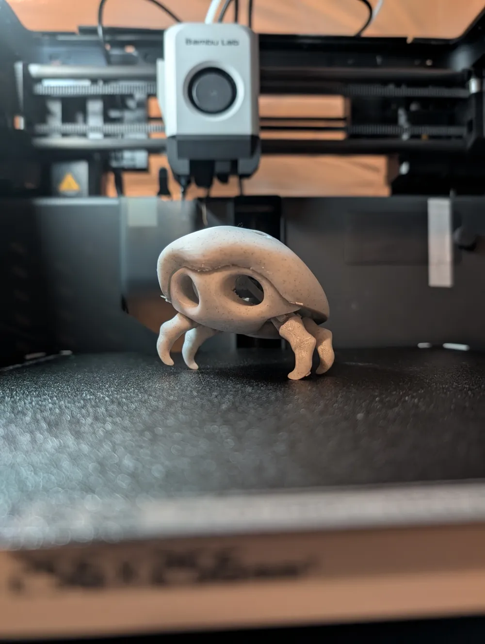 Kabuto Fossil Puzzle Kit Card by Bruddz MakerWorld: Download Free 3D Models