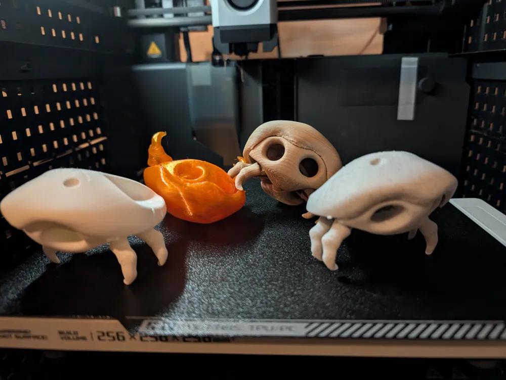 Kabuto Fossil Puzzle Kit Card by Bruddz MakerWorld: Download Free 3D Models