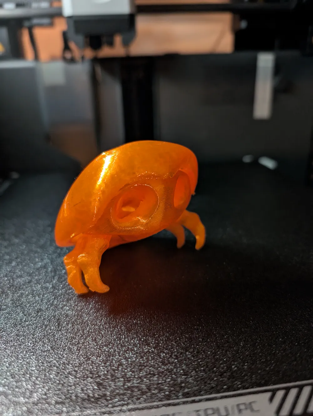 Kabuto Fossil Puzzle Kit Card by Bruddz MakerWorld: Download Free 3D Models