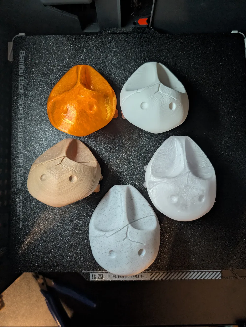 Kabuto Fossil Puzzle Kit Card by Bruddz MakerWorld: Download Free 3D Models