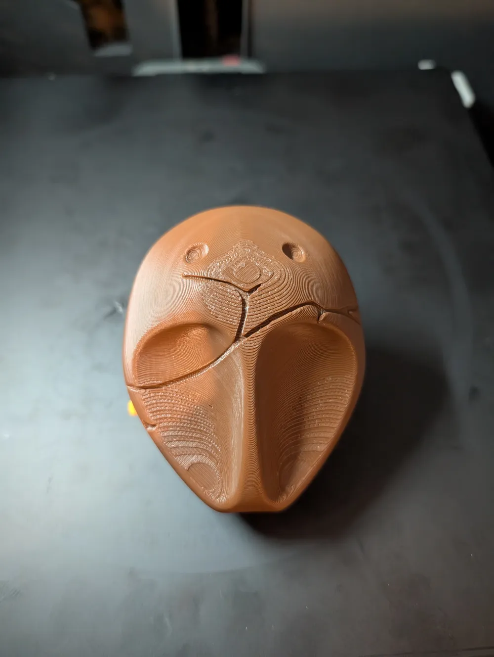 Kabuto Fossil Puzzle Kit Card - Free 3D Print Model - MakerWorld