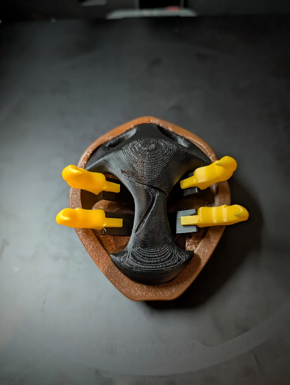 Kabuto Fossil Puzzle Kit Card - Free 3D Print Model - MakerWorld