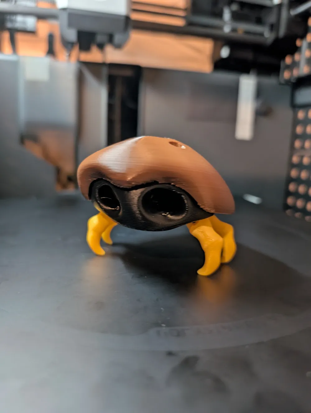 Kabuto Fossil Puzzle Kit Card - Free 3D Print Model - MakerWorld