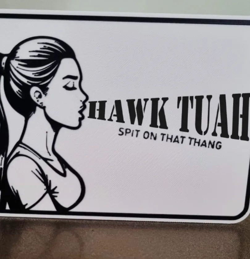 Hawk Tuah by Plotterbilly - MakerWorld