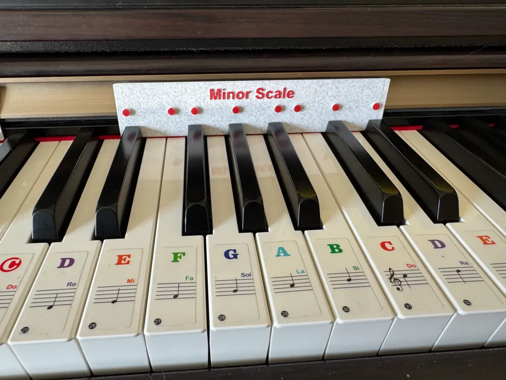 Major Minor Scale Piano Markers by SFAdamMakerWorld: Download Free 3D ...