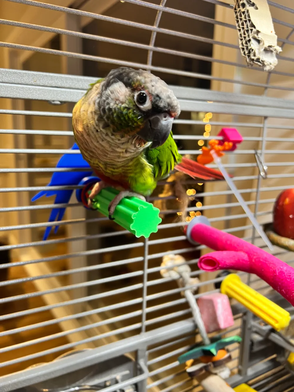 Bird Perch with Customizable Charm - Free 3D Print Model - MakerWorld