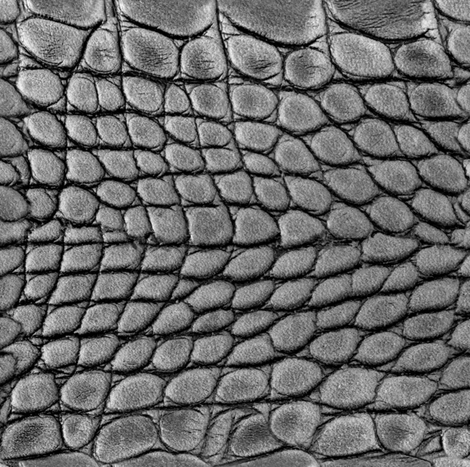 Texture Roller V127 | Alligator Skin - Free 3D Print Model - MakerWorld