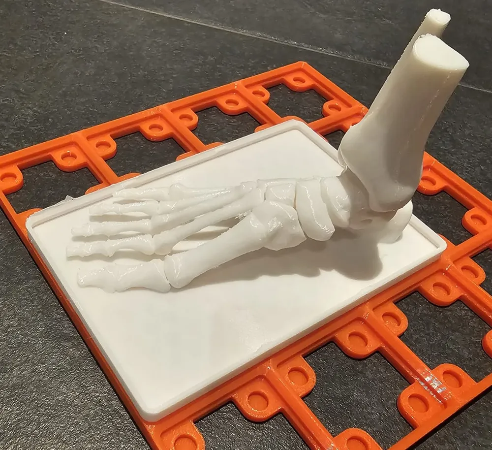 Gridfinity Skeleton Foot - V2 Remixed by Azrael MakerWorld: Download ...