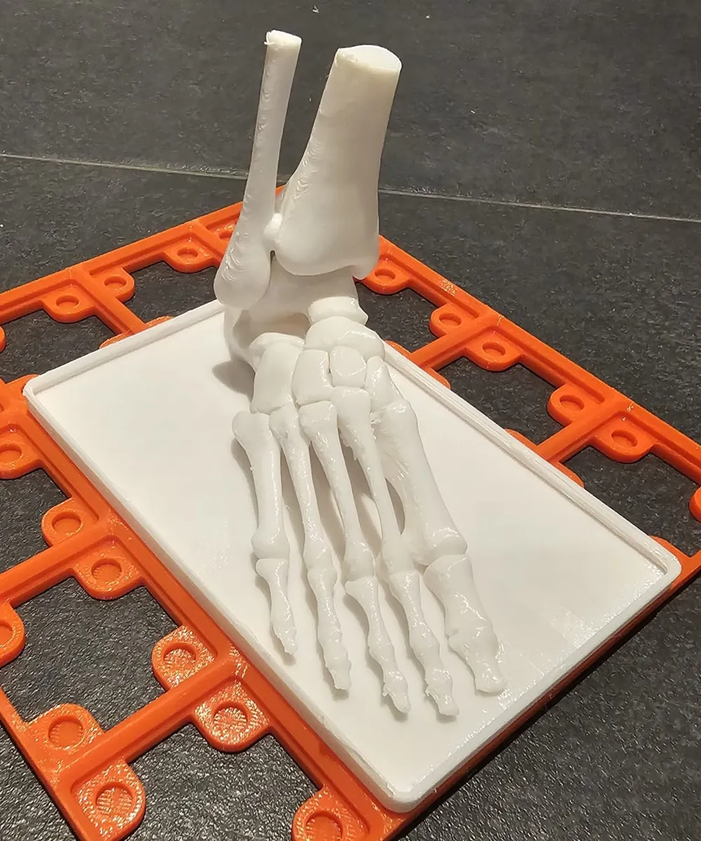 Gridfinity Skeleton Foot - V2 Remixed by Azrael MakerWorld: Download ...