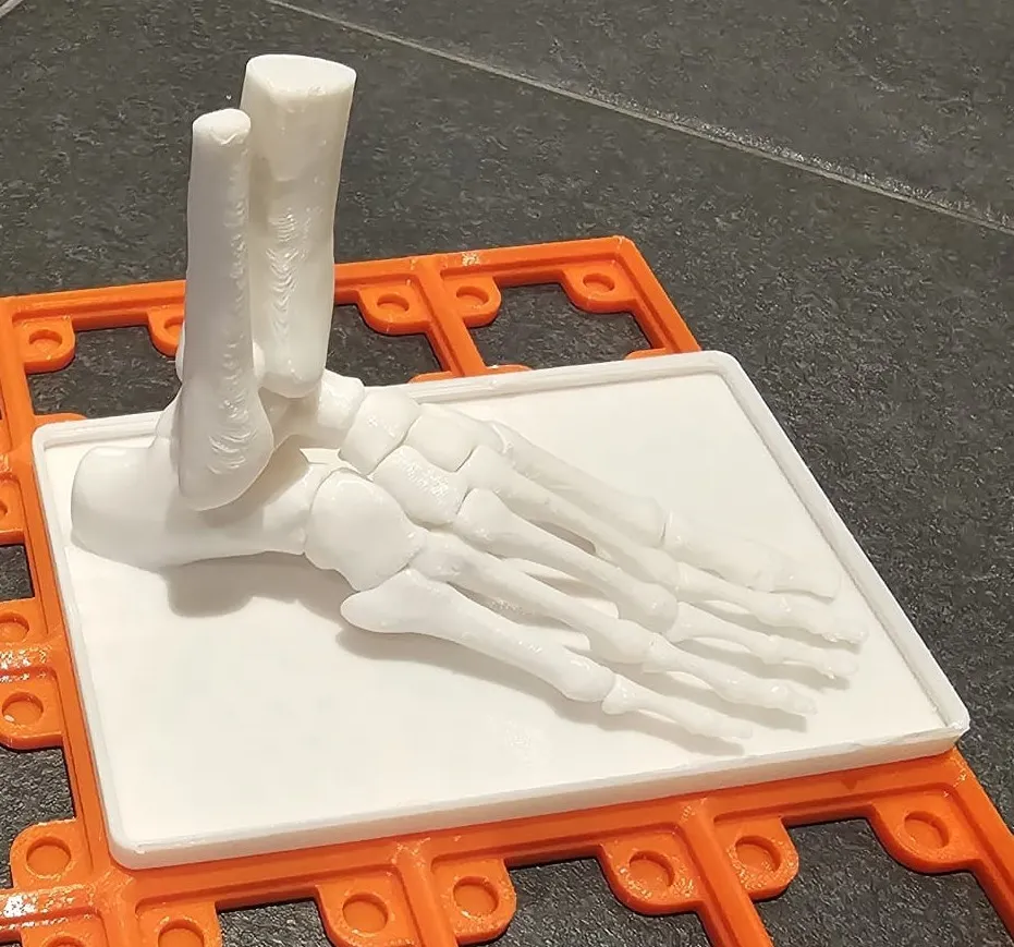 Gridfinity Skeleton Foot - V2 Remixed by Azrael MakerWorld: Download ...