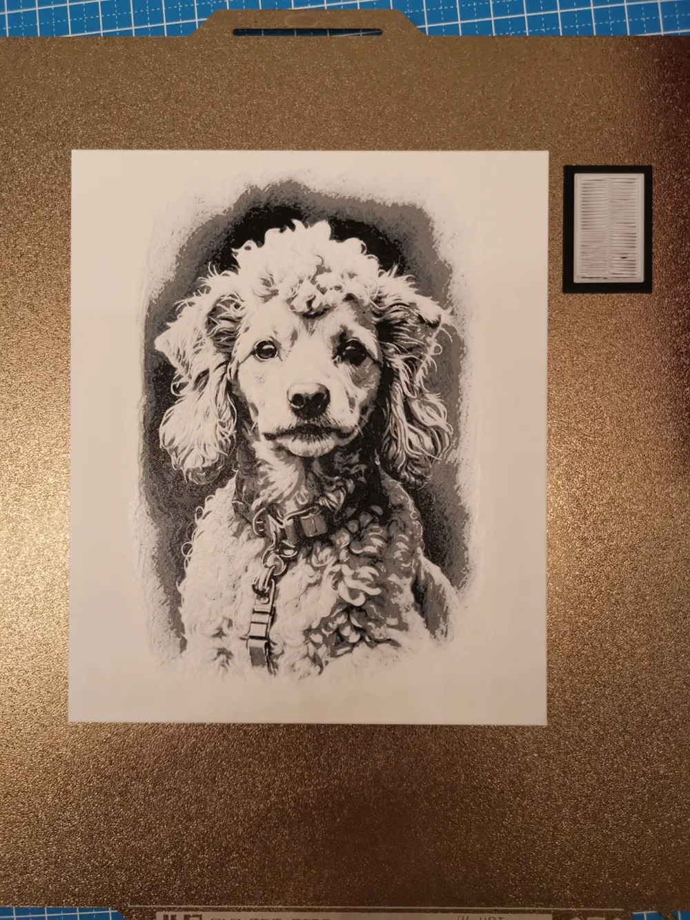 Poodle Pudel Dog Portrait - Realistic Hueforge by kevin.goetz - MakerWorld