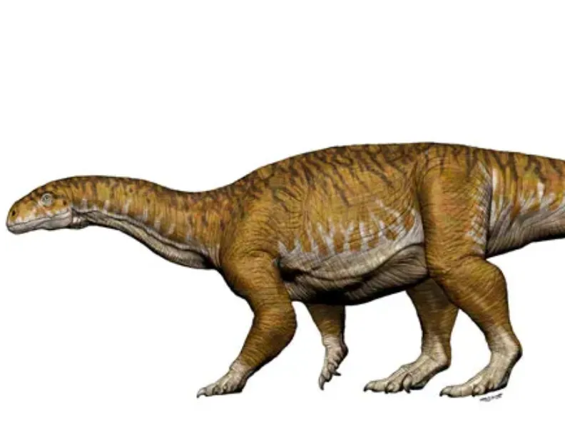 Long-necked dinosaurs - Free 3D Print Model - MakerWorld
