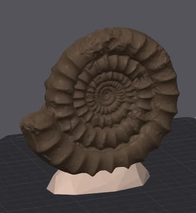 Ammonite Multicolor Display Remixed by traskb - MakerWorld