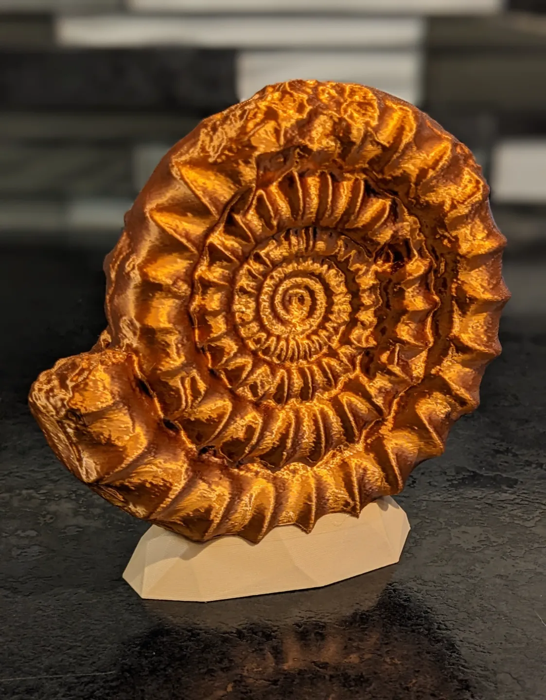 Ammonite Multicolor Display - Modelo de impresión 3D gratuito - MakerWorld