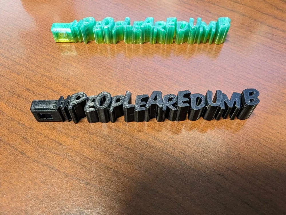 People Are Dumb Key Chain by joeythatoneguy - MakerWorld