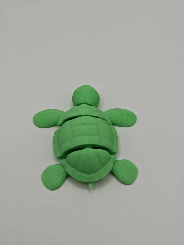 Flexi Turtle 30 min print no support - Free 3D Print Model - MakerWorld