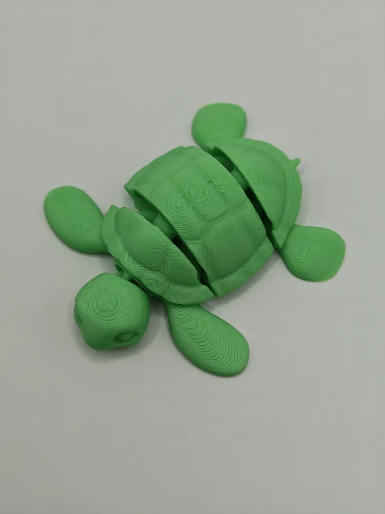 Flexi Turtle 30 min print no support - Free 3D Print Model - MakerWorld