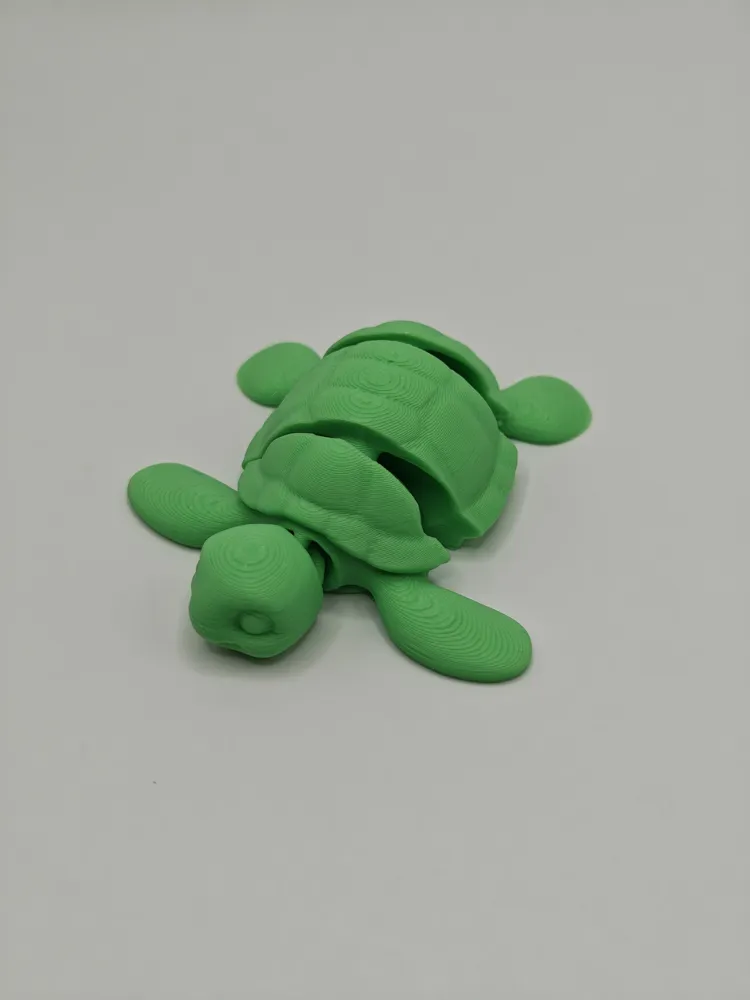 Flexi Turtle 30 min print no support - Free 3D Print Model - MakerWorld