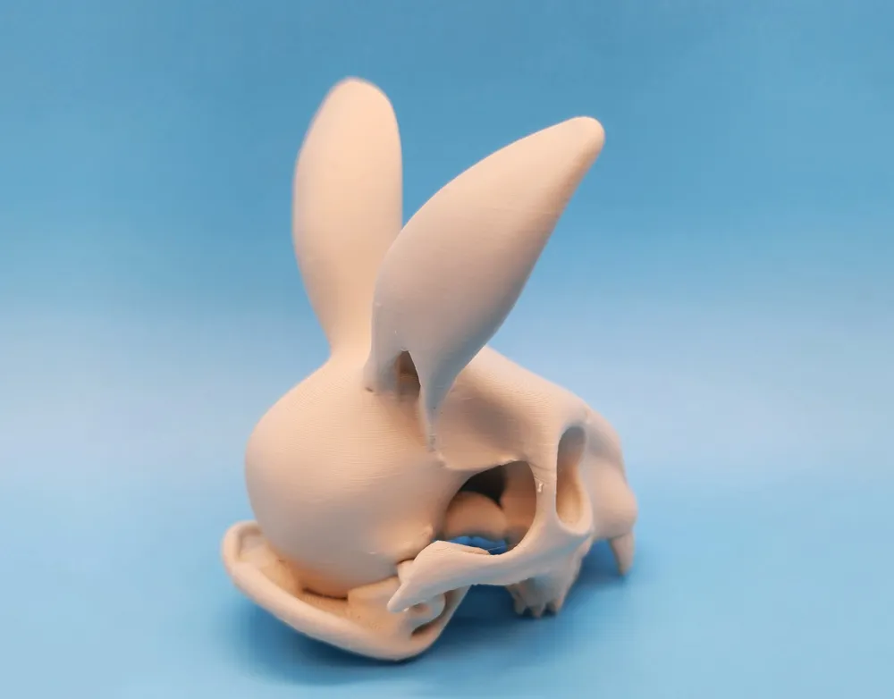 Bunny Skull - Ears Front by Triple G Workshop MakerWorld: Download Free ...