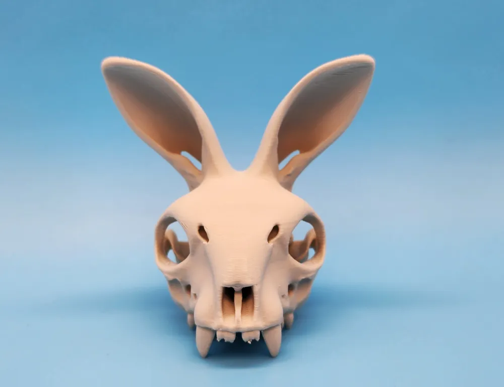 Bunny Skull - Ears Front by Triple G Workshop MakerWorld: Download Free ...