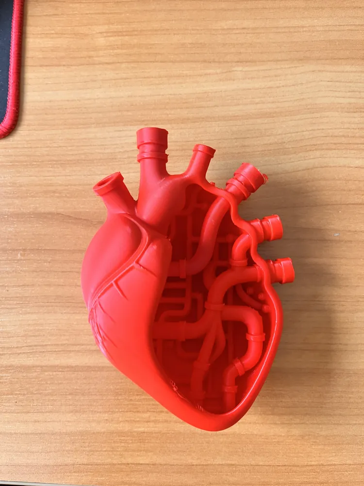 Mechanical Heart Pipe Network by Abdullahelsabea MakerWorld: Download ...