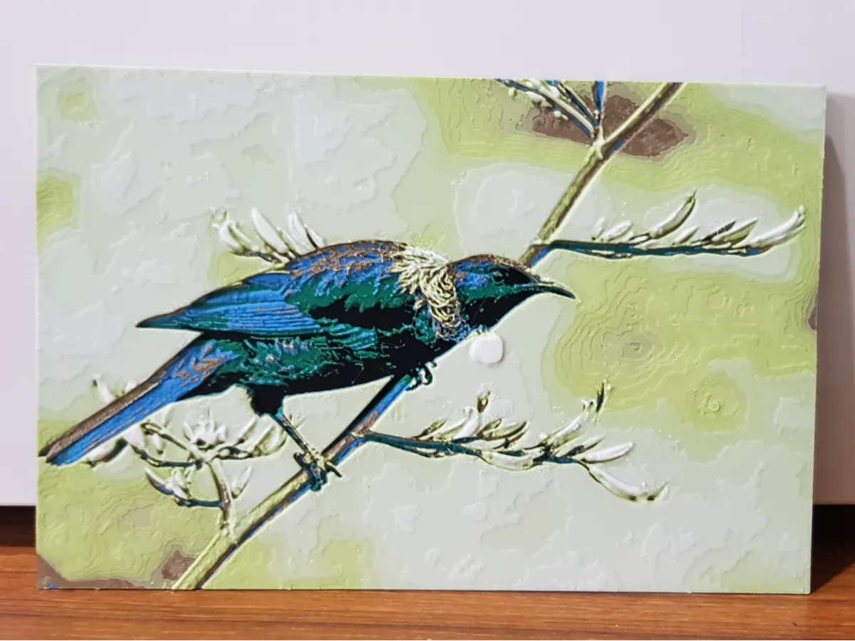 Tui de Nouvelle-Zélande - Modèle d'Impression 3D Gratuit - MakerWorld