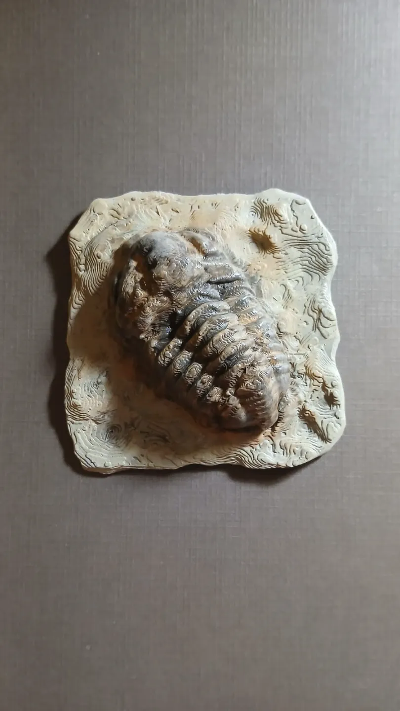 Fossile Trilobite by 3Dima - MakerWorld