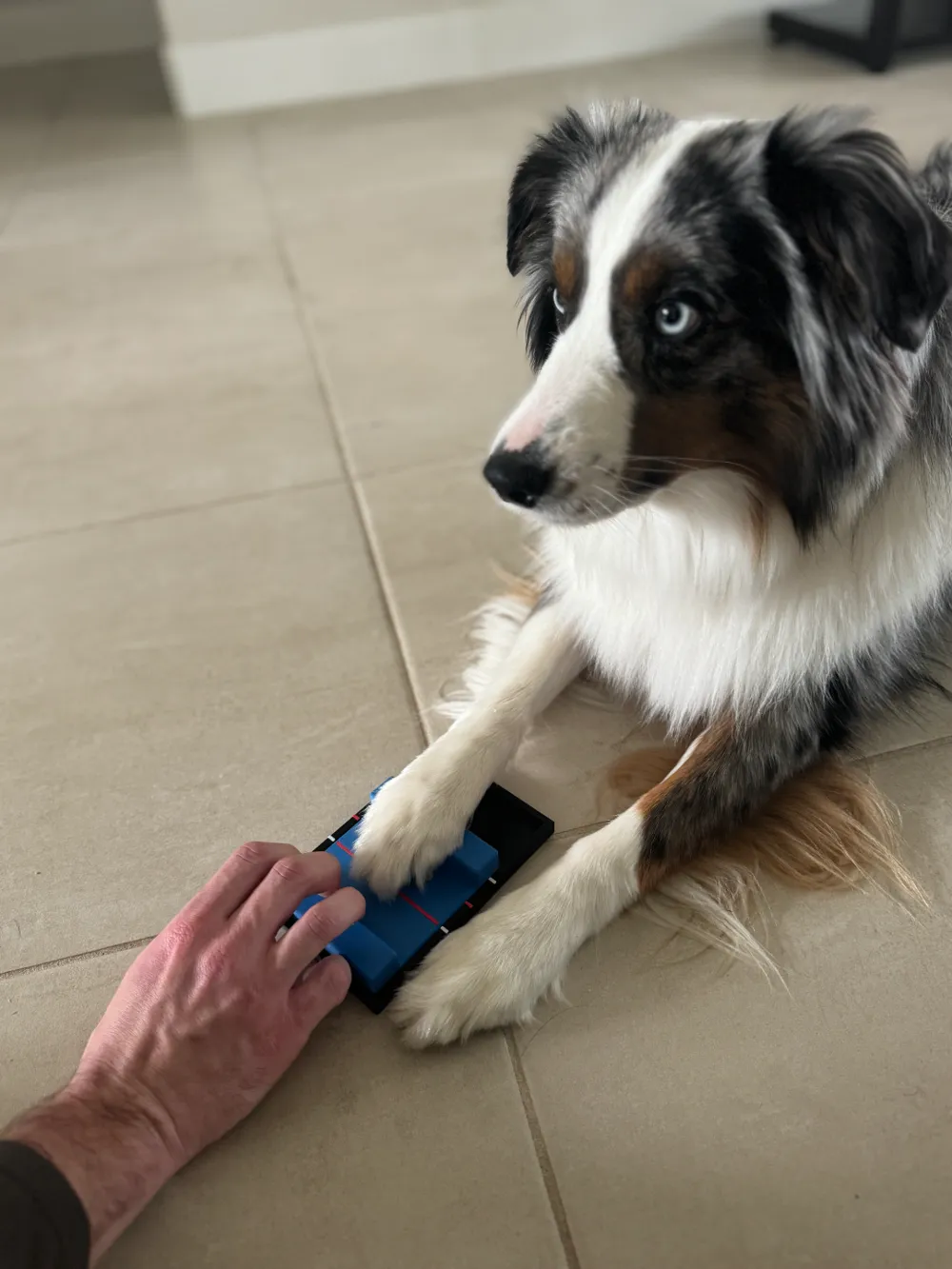 Finger war by jrmusan MakerWorld: Download Free 3D Models