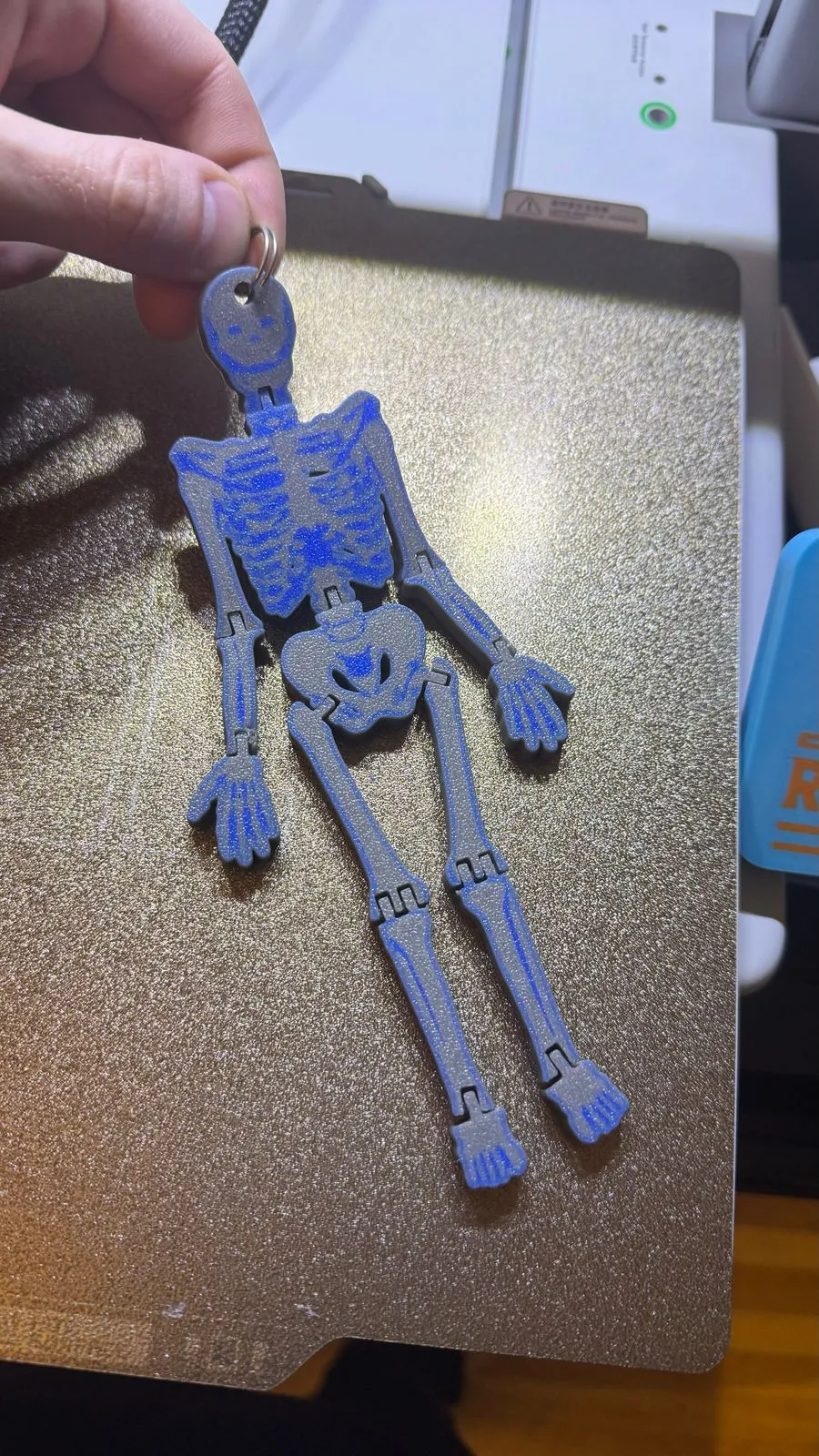 Flexi Skeleton Keychain – MakerWorld Flexi Tool! by Ritz.Prints.3D MakerWorld: Download Free 3D ...