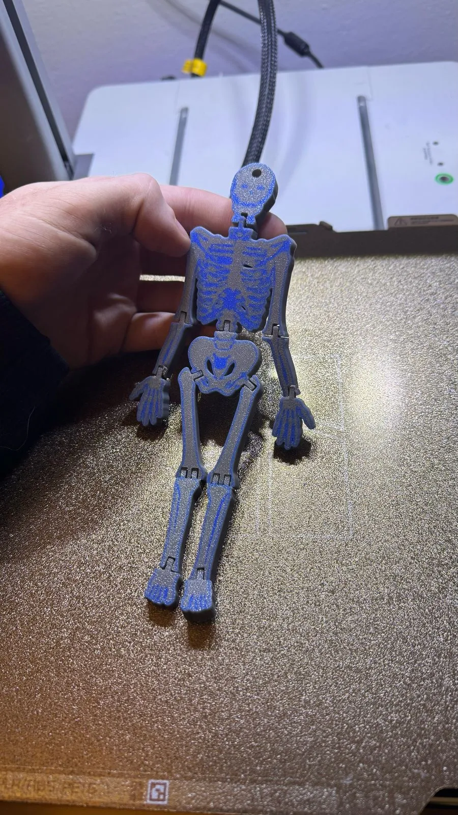 Flexi Skeleton Keychain – MakerWorld Flexi Tool! by Ritz.Prints.3D ...
