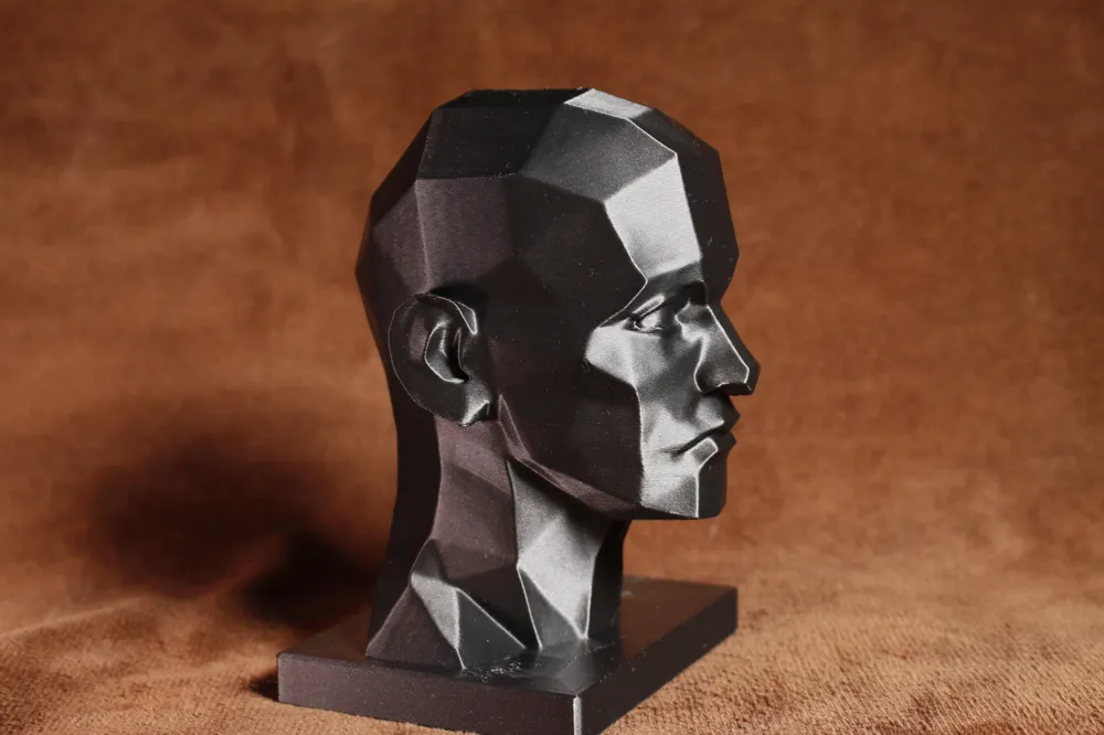 Male Human Head Planes for Drawing Students by 3DinPlastic - MakerWorld