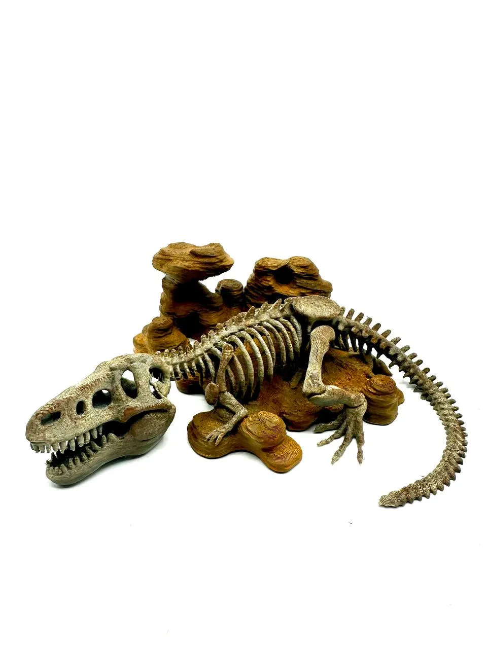 Dino Fossil - Free 3D Print Model - MakerWorld