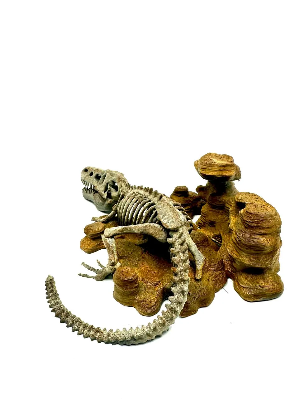 Dino Fossil - Free 3D Print Model - MakerWorld