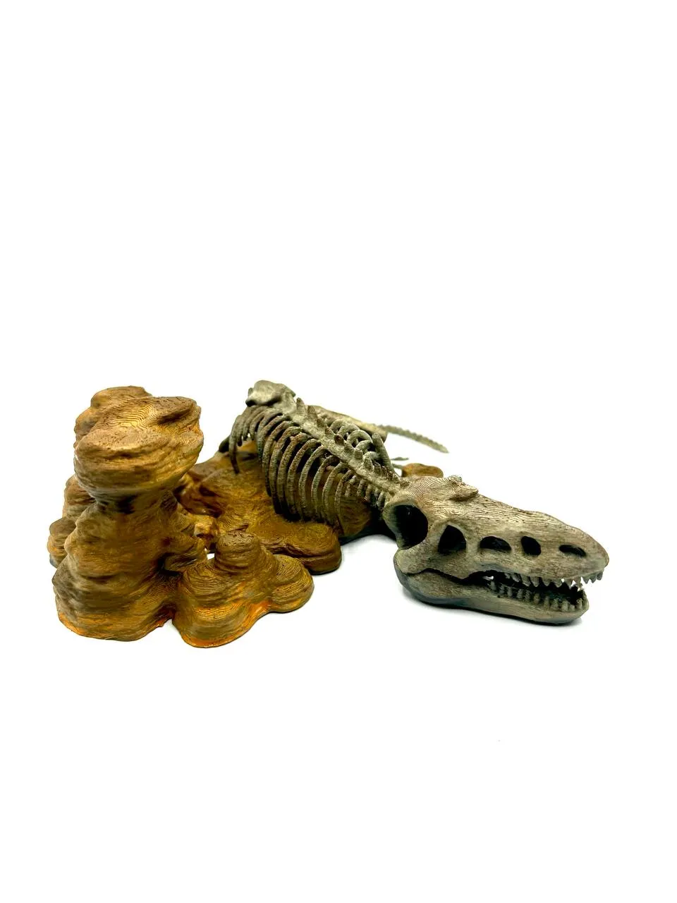 Dino Fossil - Free 3D Print Model - MakerWorld