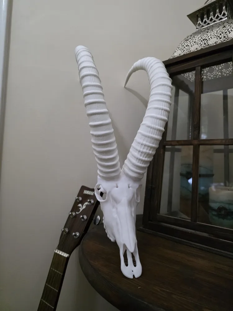 "Sable" Antelope Skull - Split Horns - Free 3D Print Model - MakerWorld