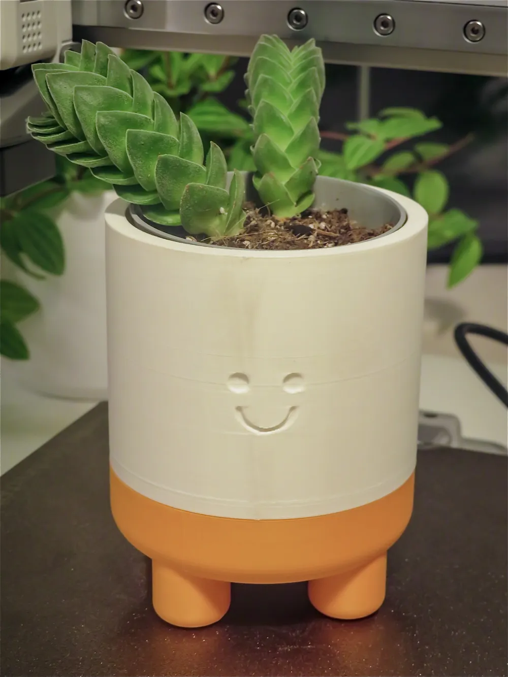 Project Plant Pot - cute plant pot by Printy Studio MakerWorld ...