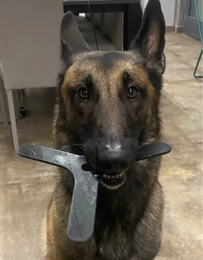 Astaroth | Published - MakerWorld