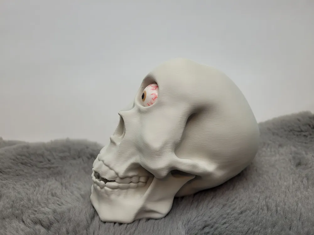 Cyclops Skull by BCLivingston - MakerWorld