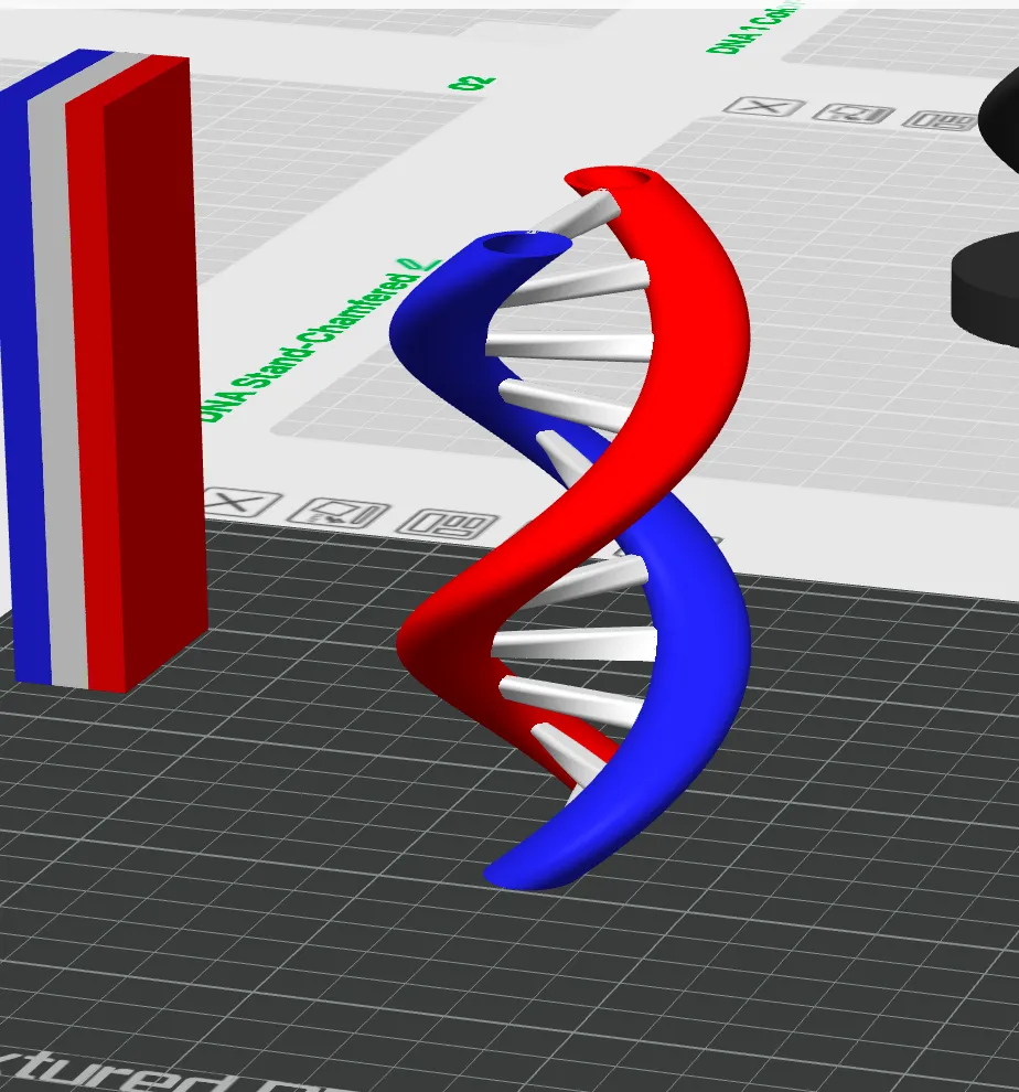 DNA Fidget Toy by Hey Ben - MakerWorld