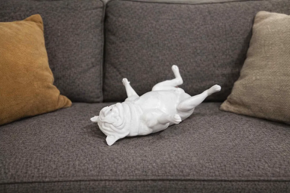 Happy Pug dog - Mops - lying on back. Cute - Free 3D Print Model ...