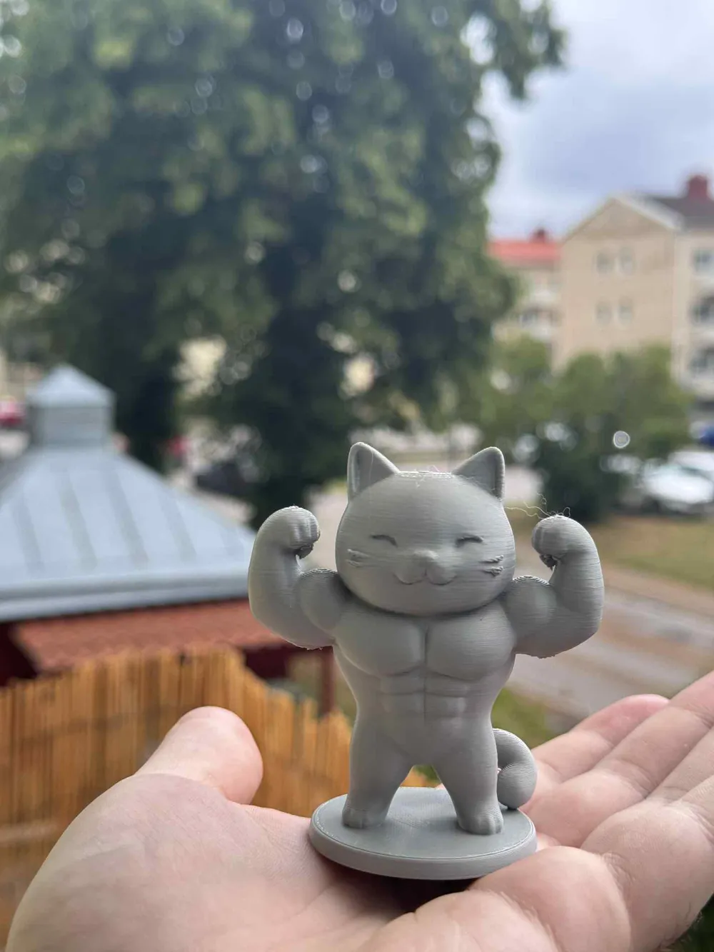 Sigma Cat – Muscle Cat Figurine by humilak MakerWorld: Download Free 3D ...