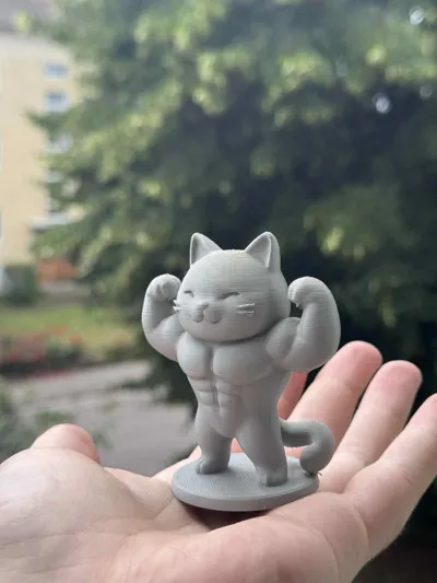 Sigma Cat – Muscle Cat Figurine - Free 3D Print Model - MakerWorld